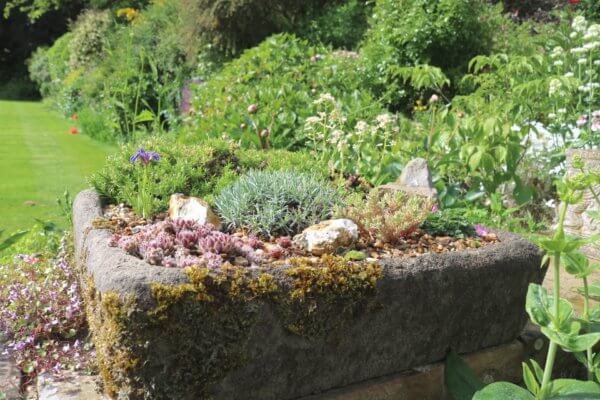 Troughs for alpines – how to cover a belfast sink - The Tea Break Gardener