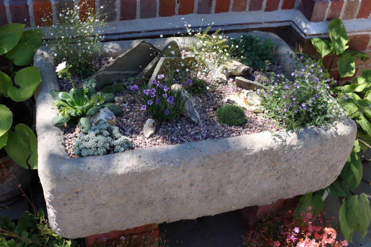 How to plant up an alpine trough - The Tea Break Gardener
